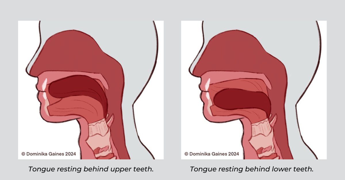 Exploring Tongue Placement for Postural Alignment and Stability ...